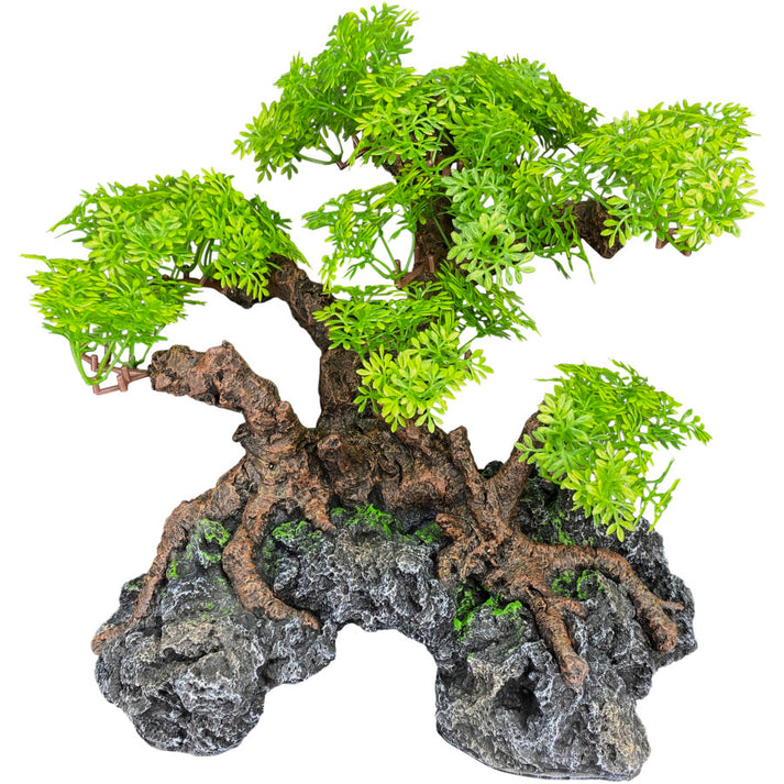 Komodo Bonsai Tree Hide – luxor reptiles
